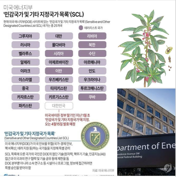 대한민국, 왜 혈맹에게 손대면 톡 터질 '민감국가'로 찍혔나?
